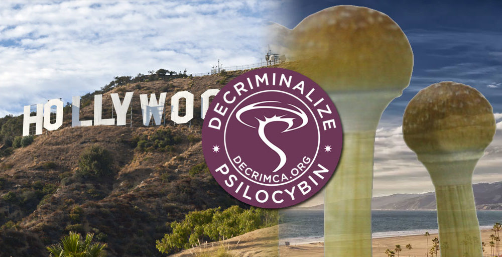 New California Psilocybin Decriminalization Initiative Could Follow ...